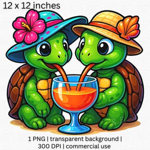 Cute Tropical Turtles Png, Cute Couple Png, Beachy Summer Animal ...