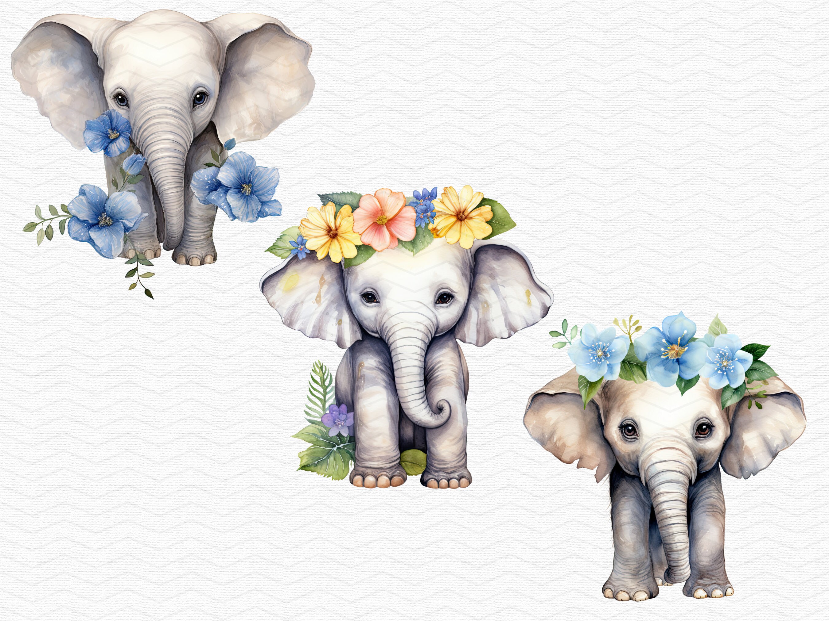 Sweet Baby Elephant PNG Clipart - Free Commercial Use - Perfect for ...