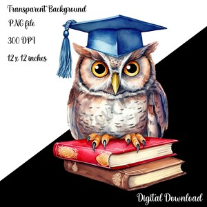 Graduation Clipart | Owl PNG | Graduation Cap PNG | Graduate Gift ...