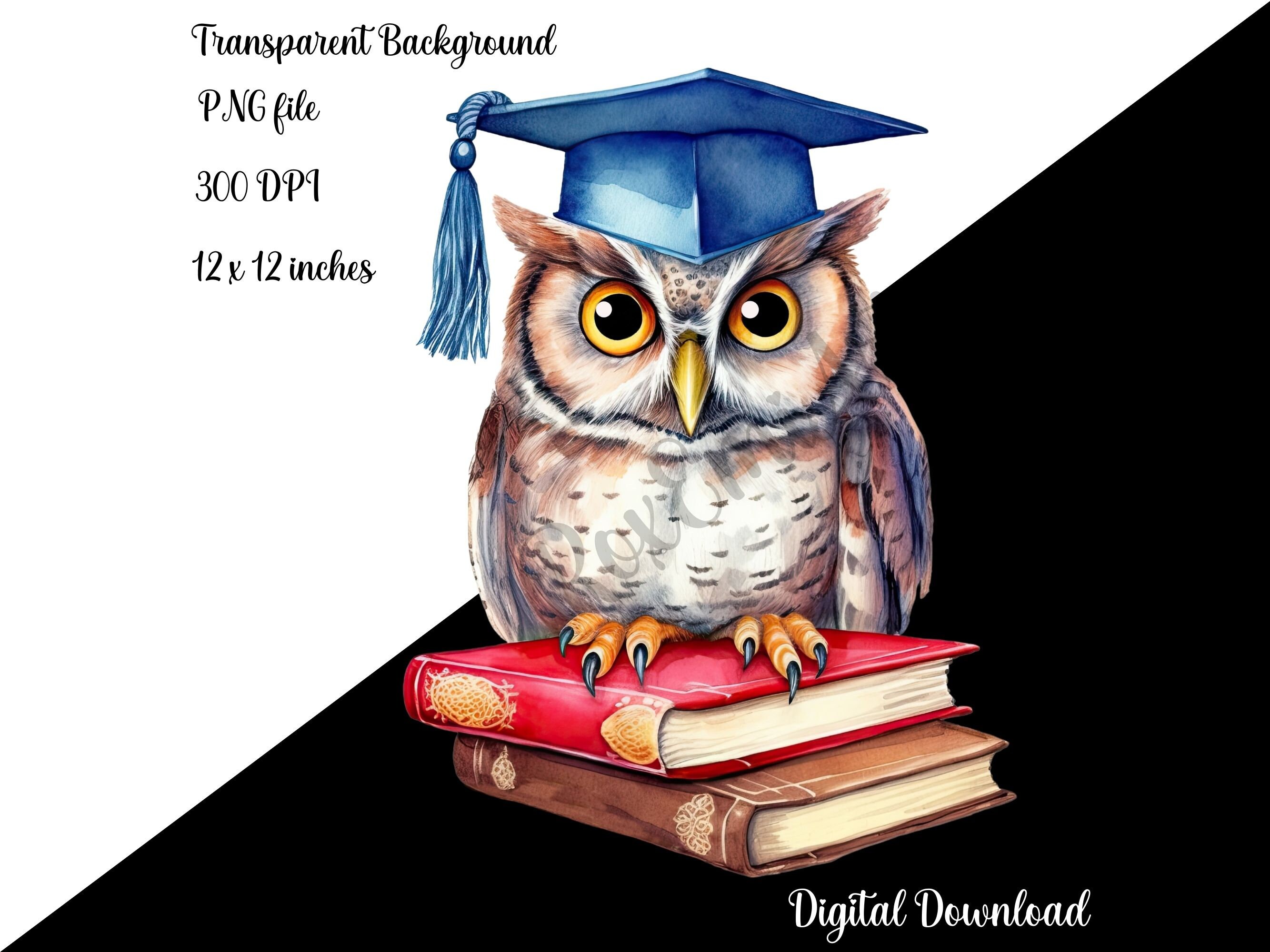 Graduation Clipart | Owl PNG | Graduation Cap PNG | Graduate Gift ...
