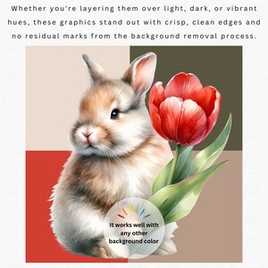 Adorable Fluffy Bunny Tulip Clipart, Watercolor Rabbit Spring Floral ...