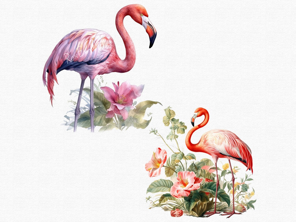 Watercolor Flamingo PNG Clipart With Tropical Plant PNG Bundle, Summer ...