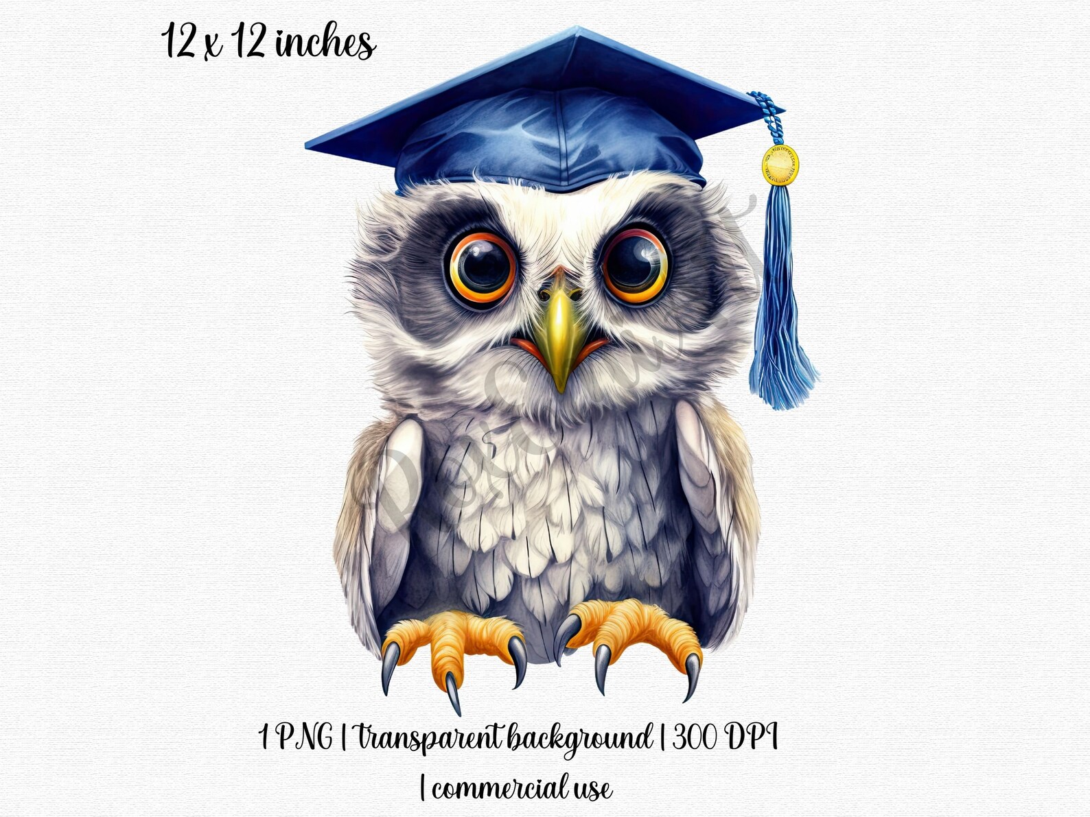 Graduation Clipart | Watercolor Owl PNG | Printable Bird | Graduation ...