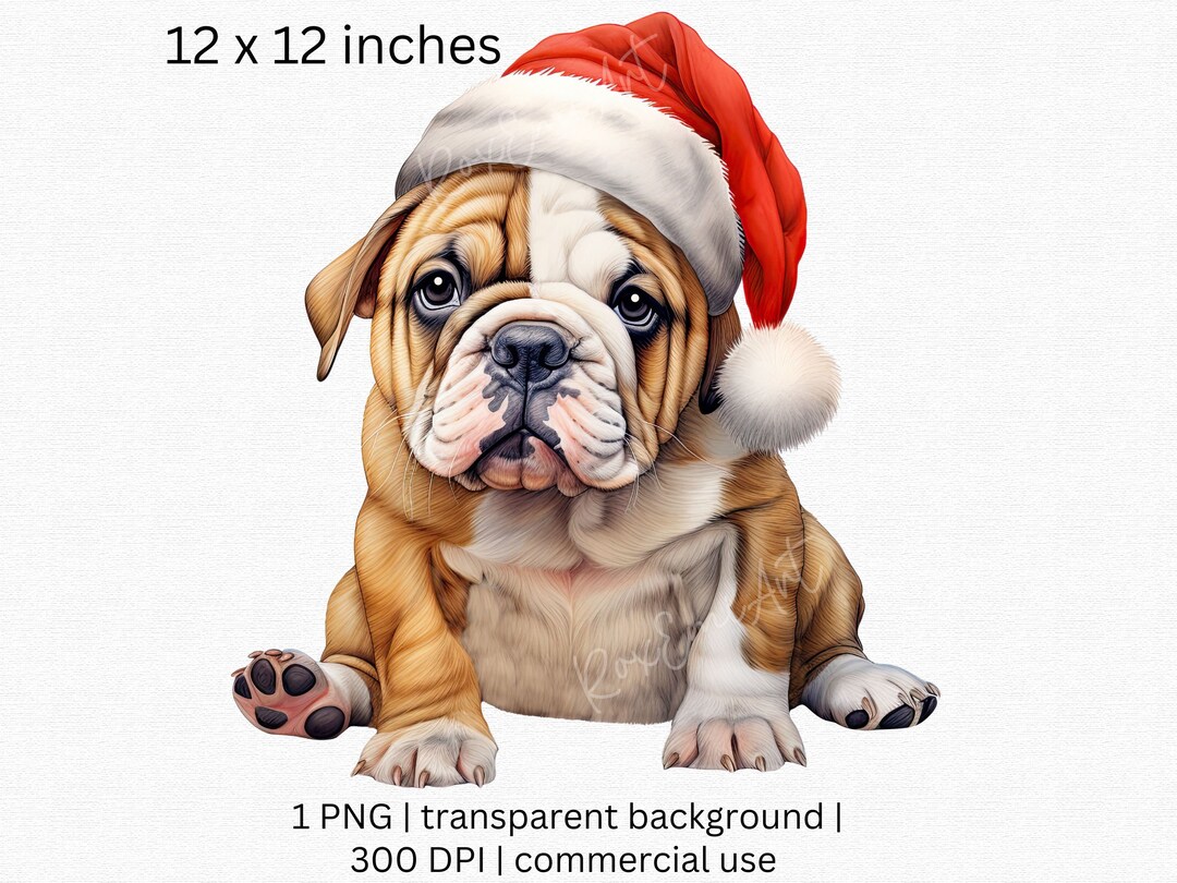 Cute English Bulldog Clipart, Christmas Bulldog Puppy in Santa Hat ...