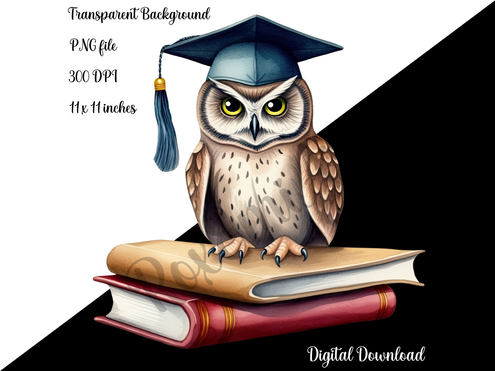 Graduation Clipart | Watercolor Owl PNG | Graduation Books | Graduation ...