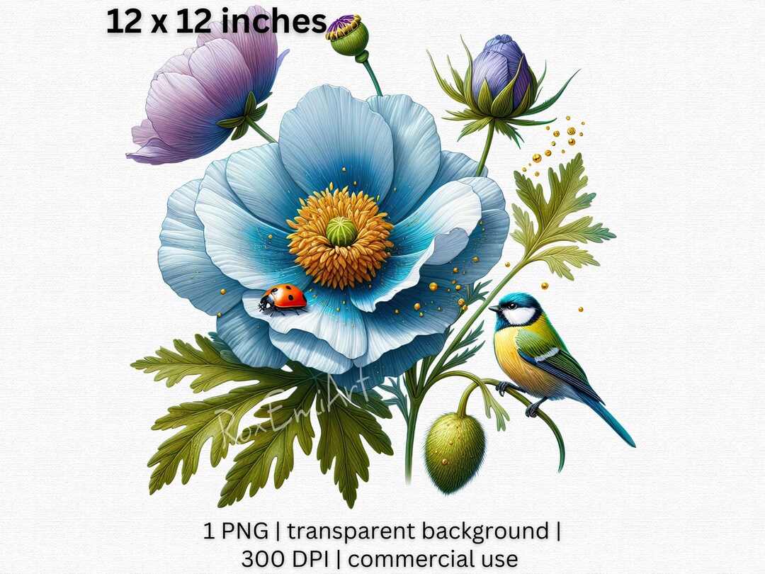 Vibrant Blue Poppy Clipart, Nature-inspired Botanical Illustration ...