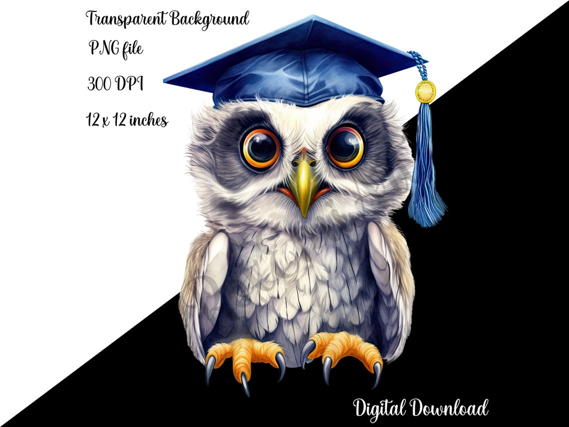 Graduation Clipart | Watercolor Owl PNG | Printable Bird | Graduation ...