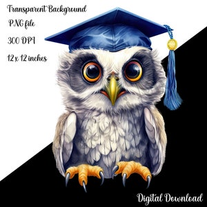 Graduation Clipart | Watercolor Owl PNG | Printable Bird | Graduation ...