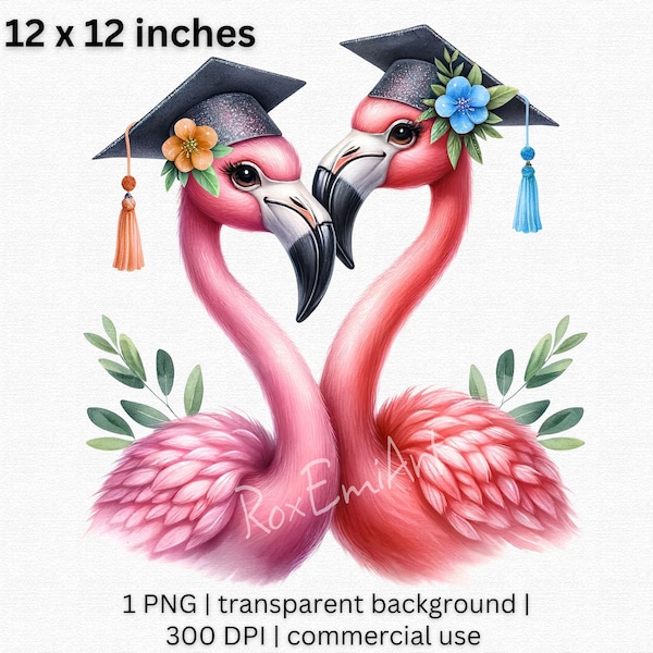 Graduation Flamingo - Etsy