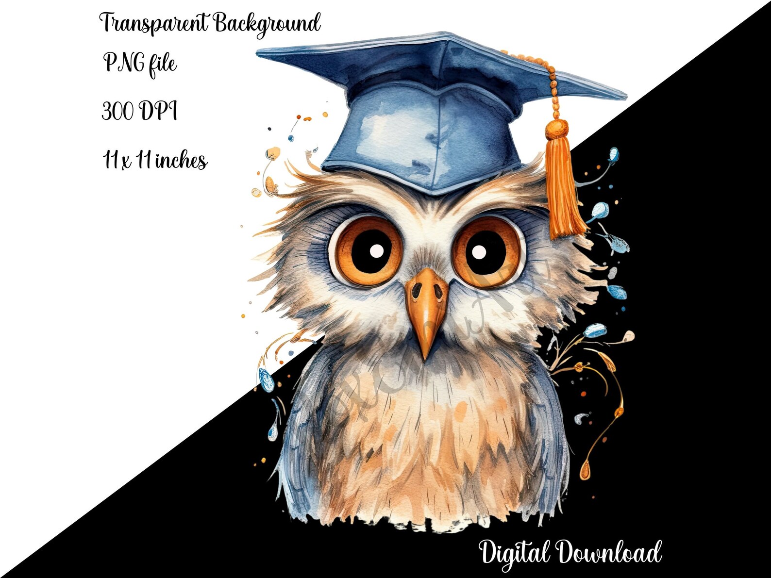 Graduation Clipart Watercolor Owl PNG Cute Bird Graduation Cap PNG ...