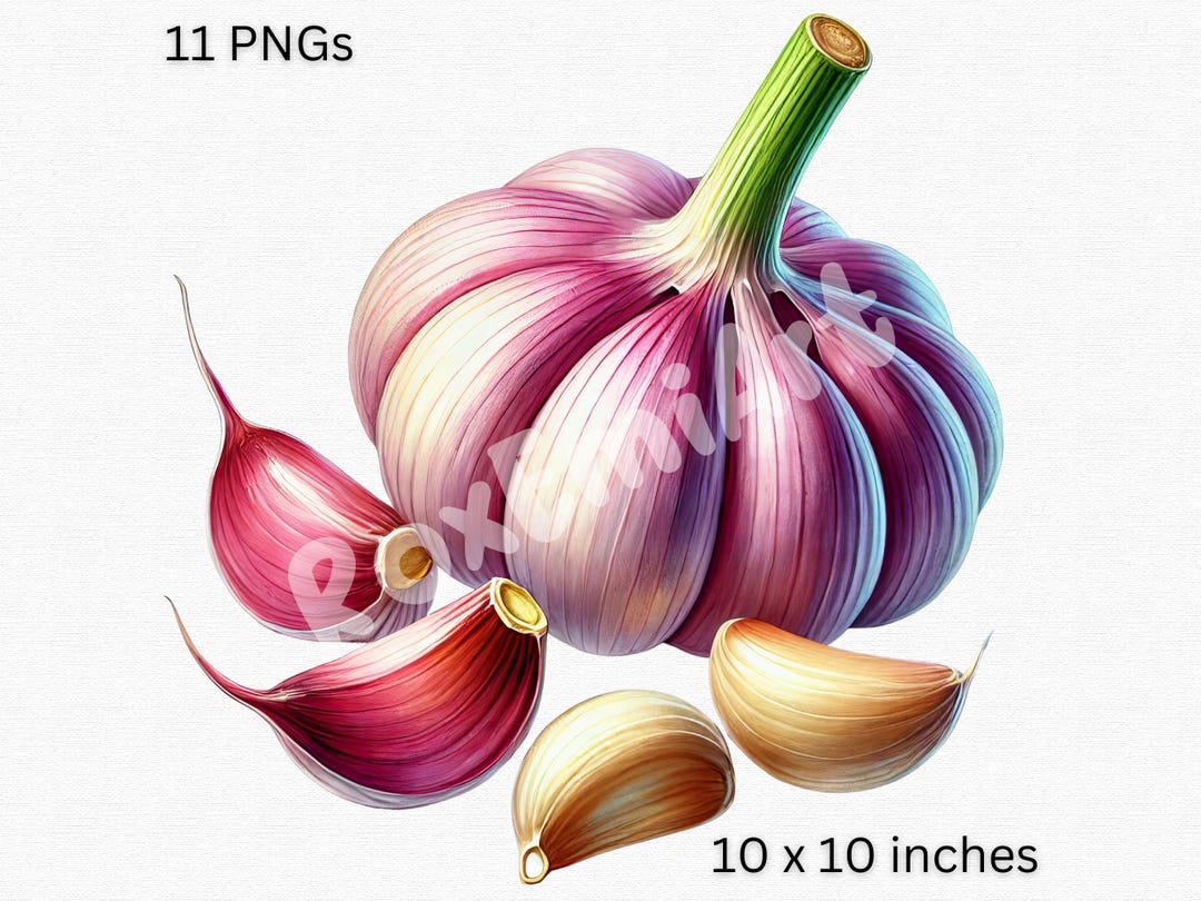 Watercolor Vegetable Clipart Bundle, Veggies PNG, Food Clipart, Kitchen ...