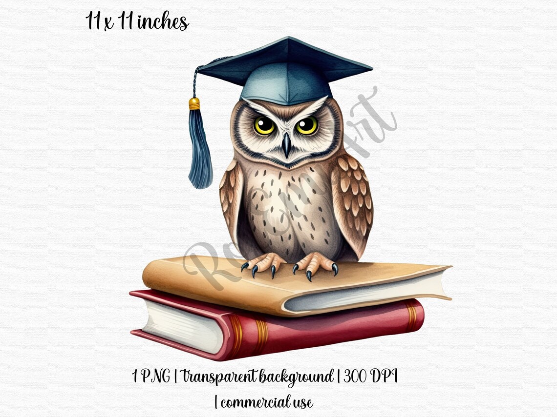 Graduation Clipart | Watercolor Owl PNG | Graduation Books | Graduation ...