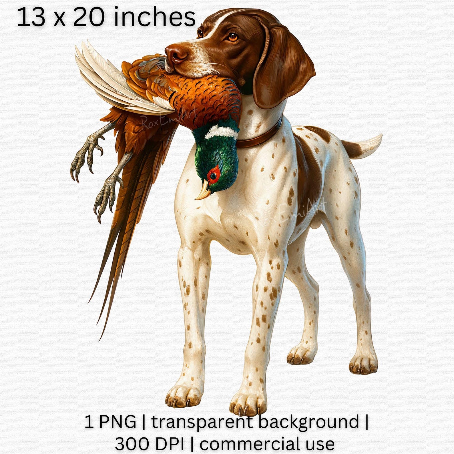 Vintage Hunting Dog Png, Pheasant Retriever Clipart, Rustic Wildlife ...