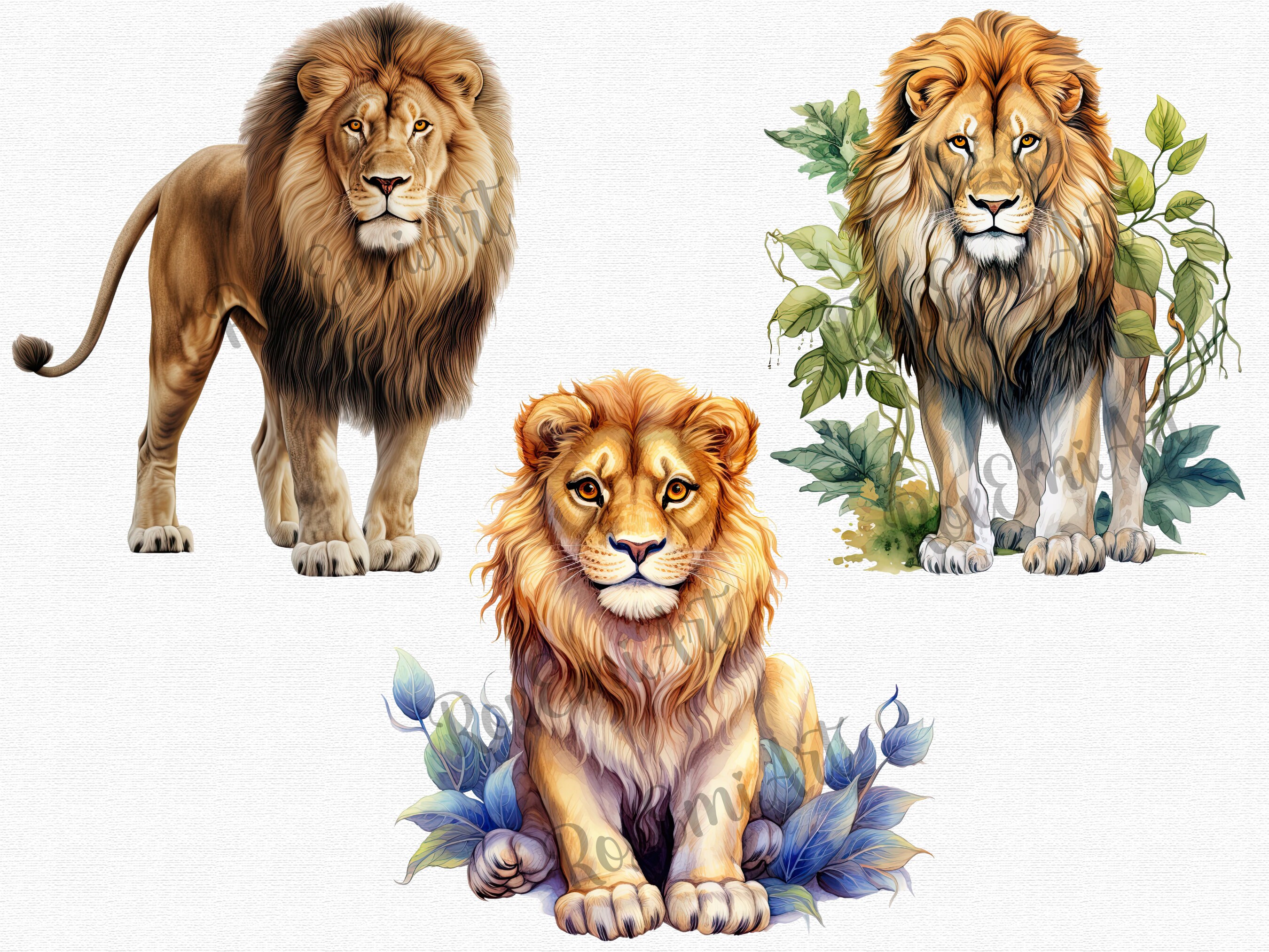 Colorful Lion PNG for Scrap Book, Animal Kingdom Shirt, Transparent PNG ...