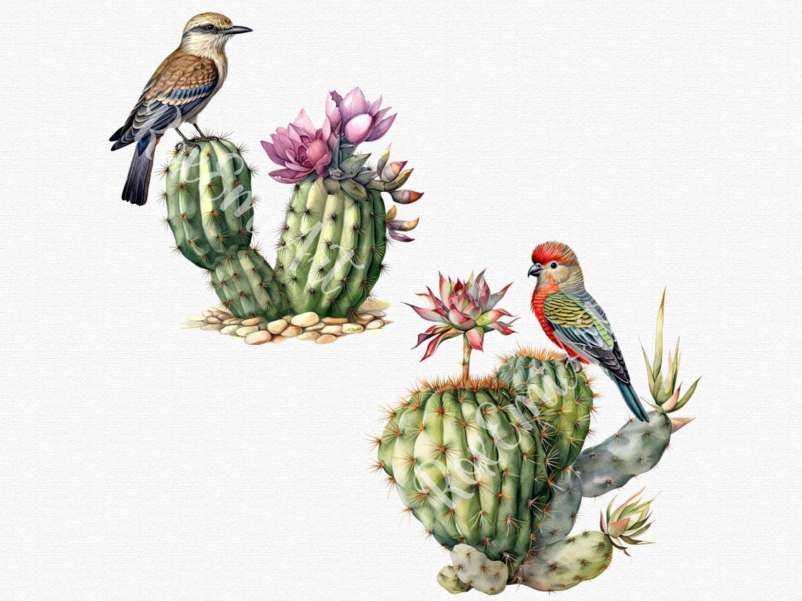 Watercolor Cute Cactus Clip Art - Cute Birds Clipart - Desert Cactus ...