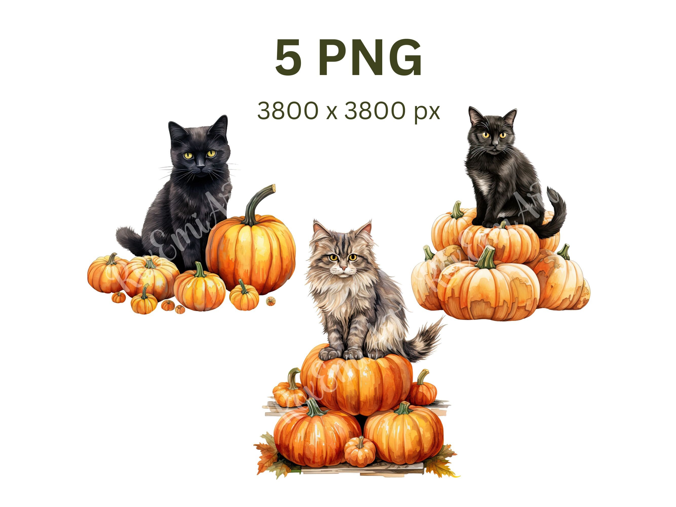 Cute Cat With Pumpkin Clipart, Fall Autumn Thanksgiving Clipart ...