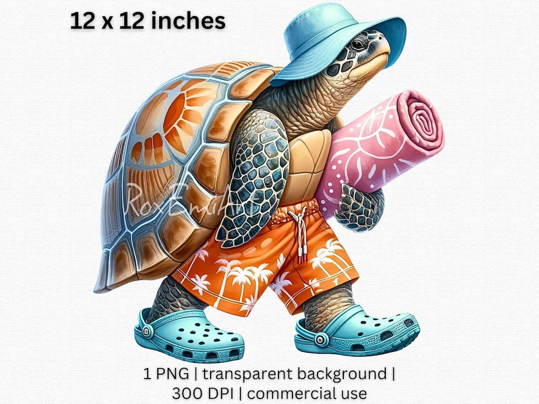 Beach Turtle Clipart, Whimsical Tortoise With Hat, Towel, Transparent ...