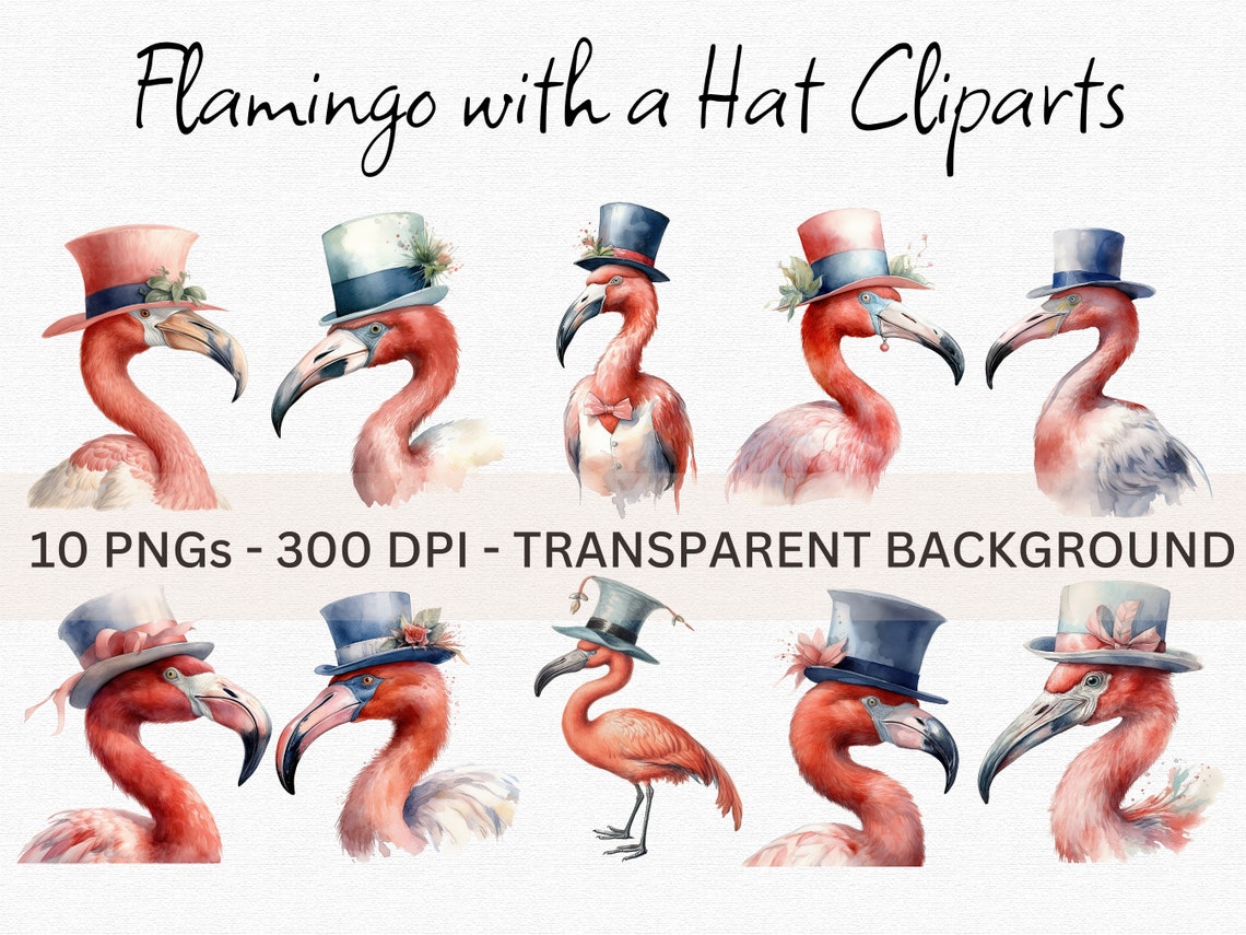 Flamingo With Hat Clipart Tropical PNG, Flamingo Art, Free Commercial ...