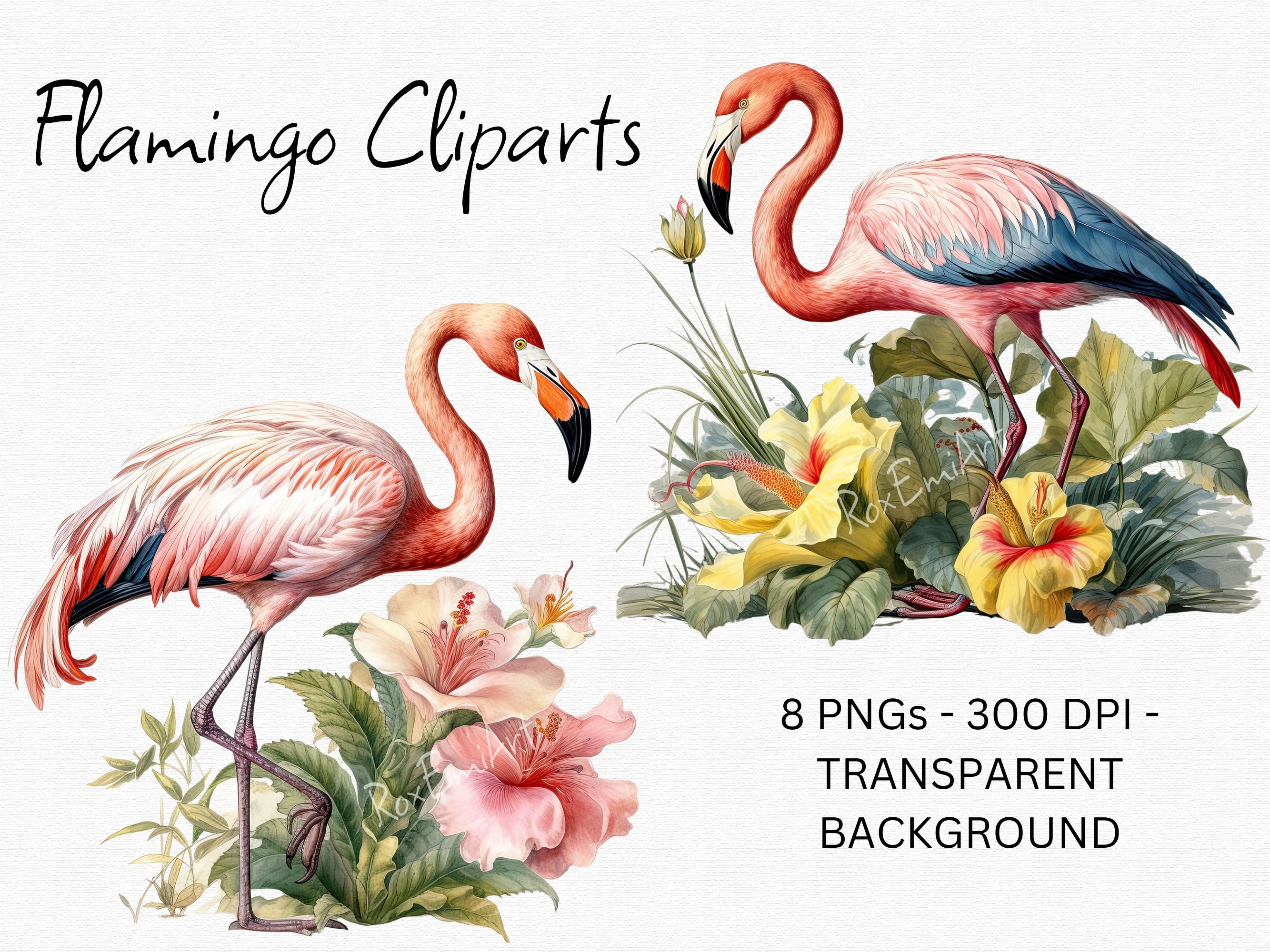 Watercolor Flamingo PNG Clipart With Tropical Plant PNG Bundle, Summer ...