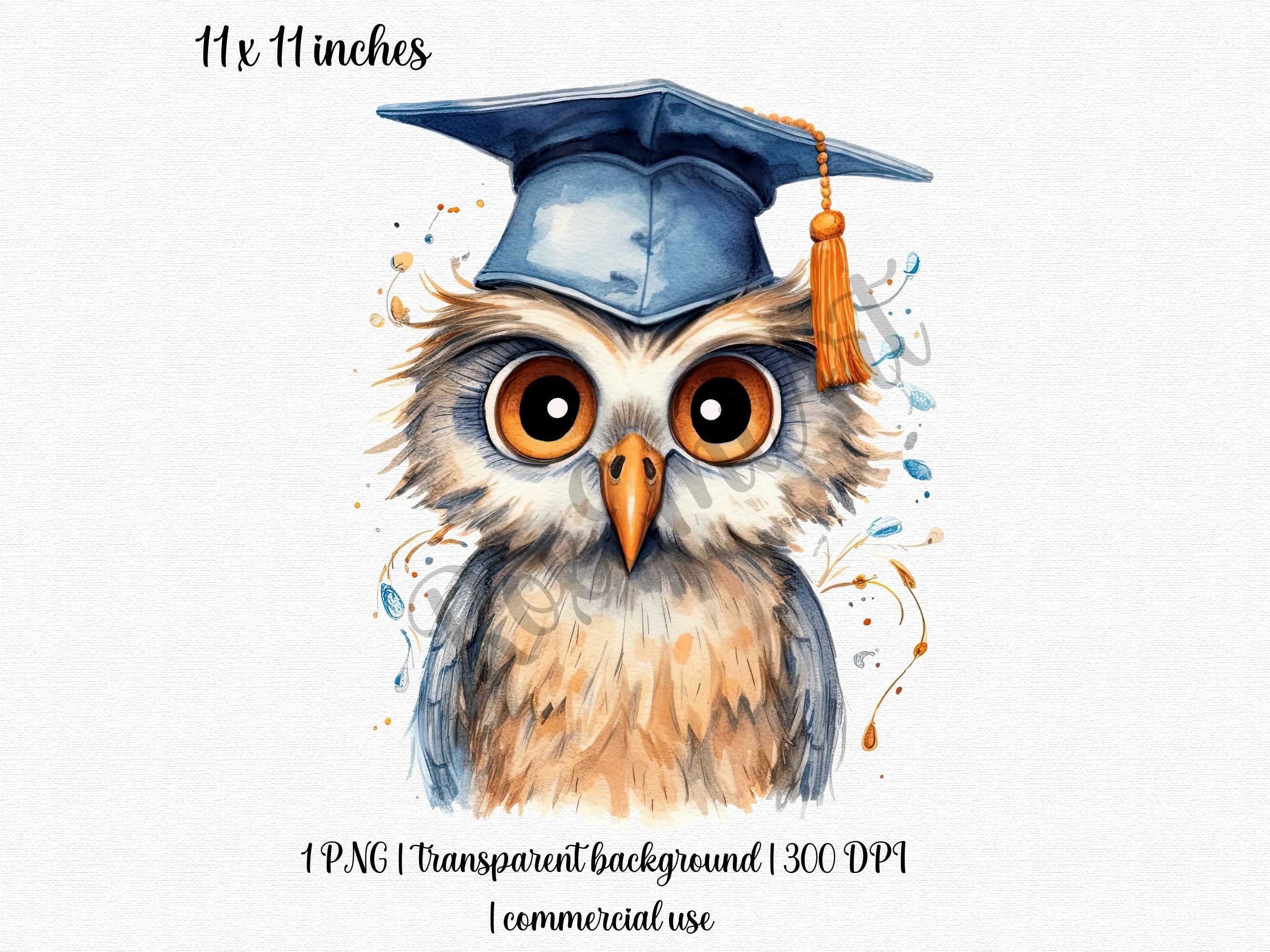 Graduation Clipart | Watercolor Owl PNG | Cute Bird | Graduation Cap ...