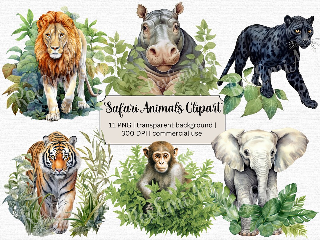 Wildlife Wonders: Exquisite Safari Animal Clipart Watercolor Bundle ...