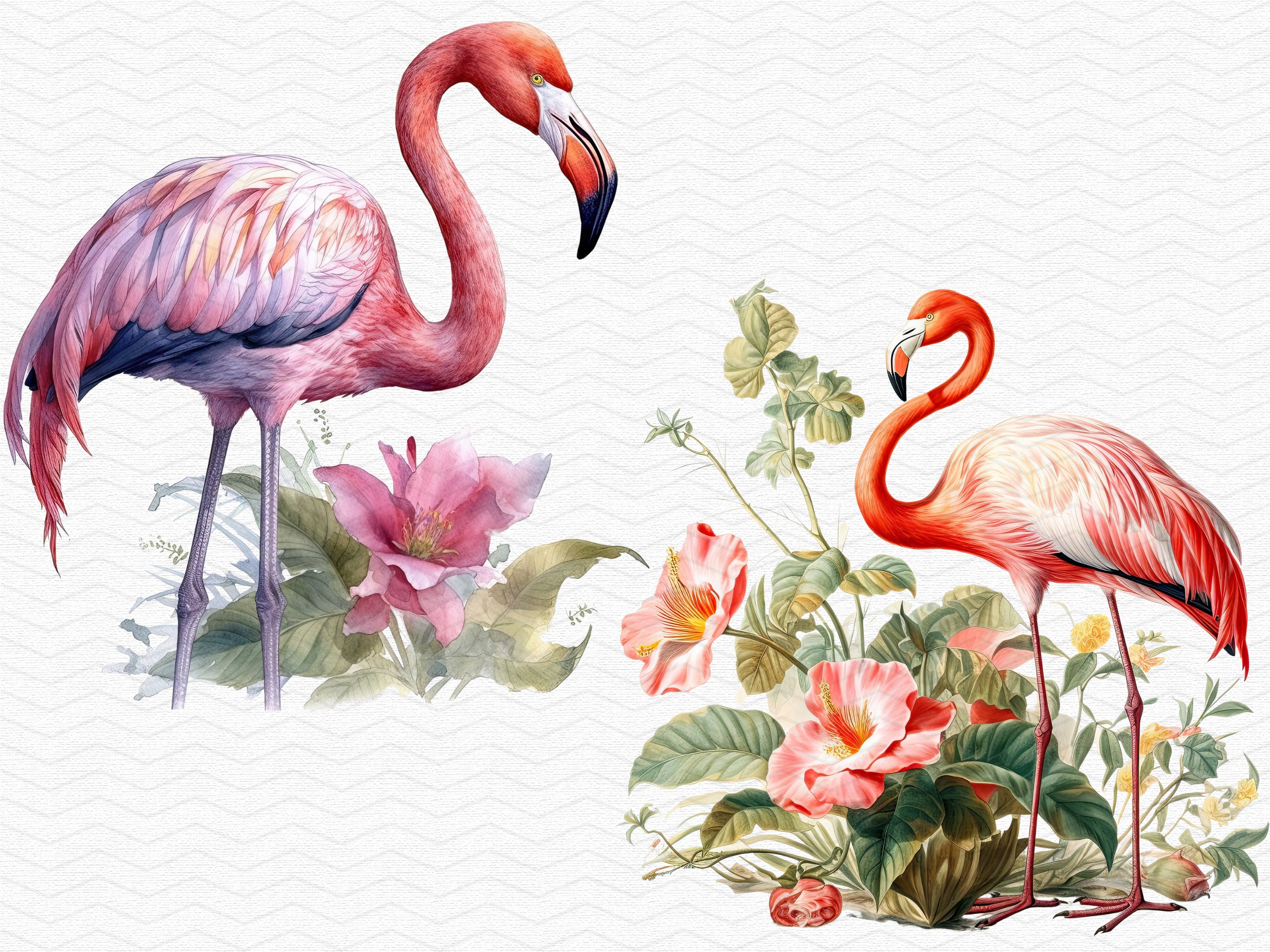 Watercolor Flamingo PNG Clipart With Tropical Plant PNG - Etsy