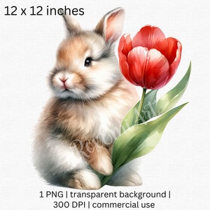 Adorable Fluffy Bunny Tulip Clipart, Watercolor Rabbit Spring Floral ...