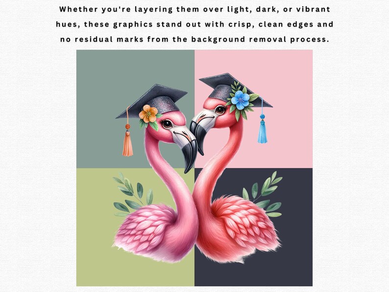 Graduation Flamingos Clipart, Pink Flamingos With Floral Graduation ...