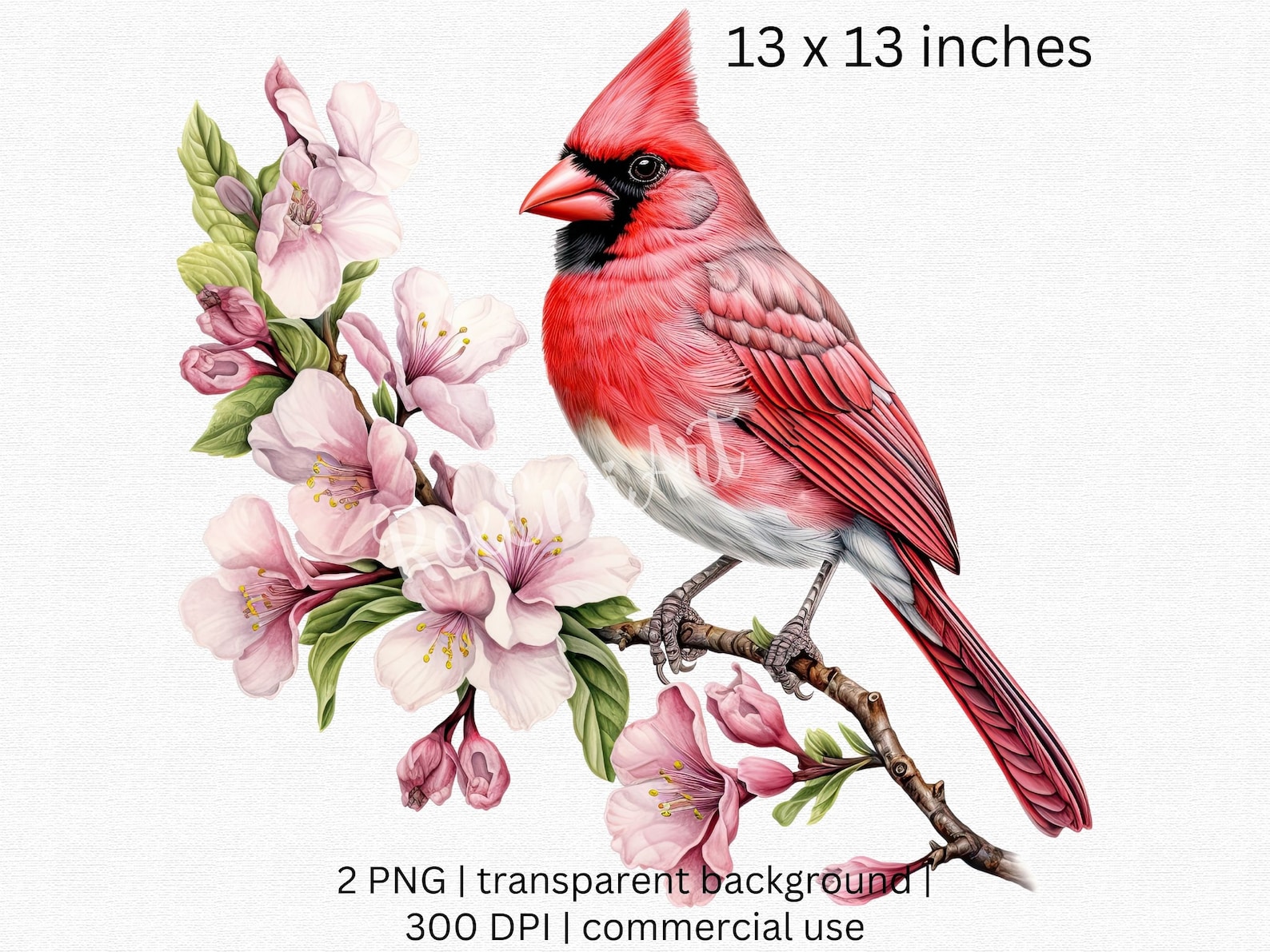 Red Cardinal PNG, Floral Bird Spring Clipart, Sublimation Designs, Card ...