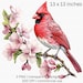 Red Cardinal PNG, Floral Bird Spring Clipart, Sublimation Designs, Card ...