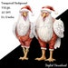 Funny Chicken Dressed as Santa Clipart, Christmas Chicken PNG, Digital ...