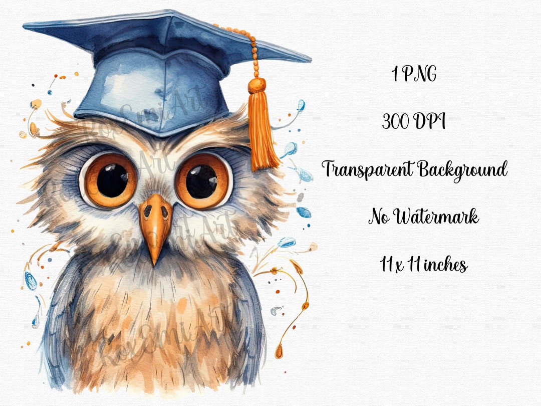 Graduation Clipart Watercolor Owl PNG Cute Bird - Etsy