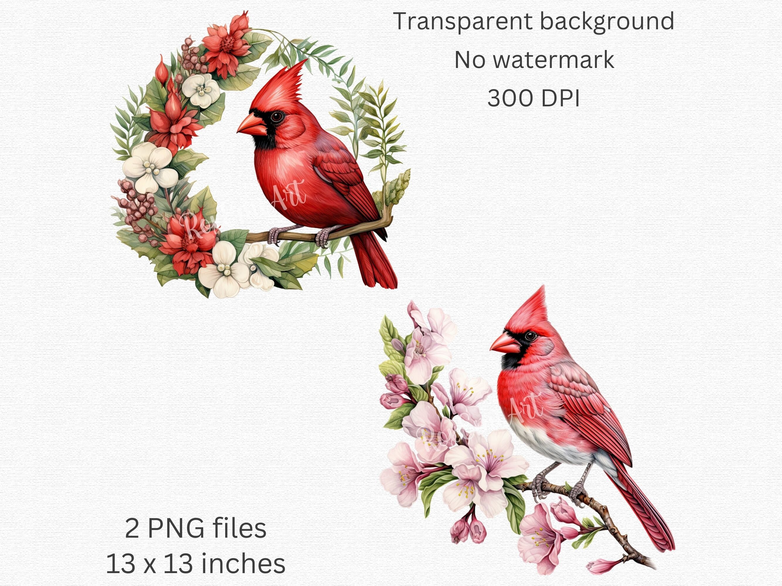 Red Cardinal PNG, Floral Bird Spring Clipart, Sublimation Designs, Card ...