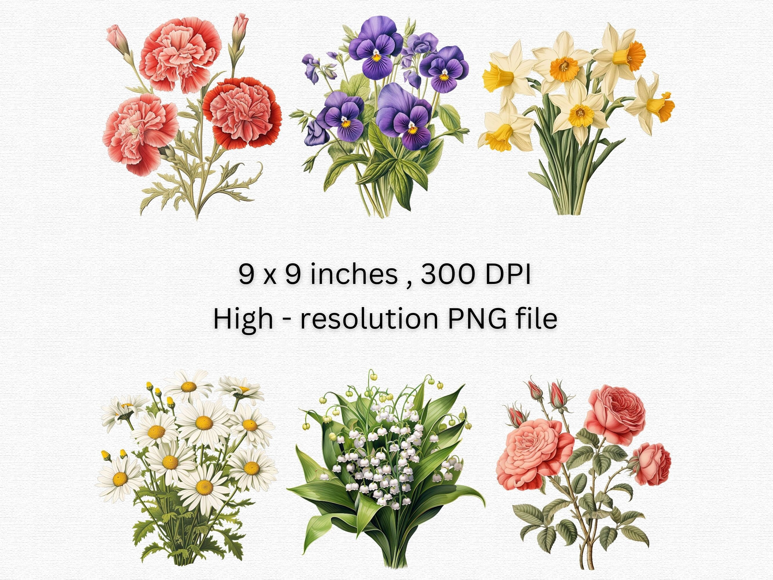 Birth Flower Clipart. Roses Clipart, Lily of the Valley, Water Lily ...