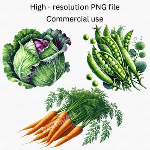 Watercolor Vegetable Clipart Bundle, Veggies PNG, Food Clipart, Kitchen ...