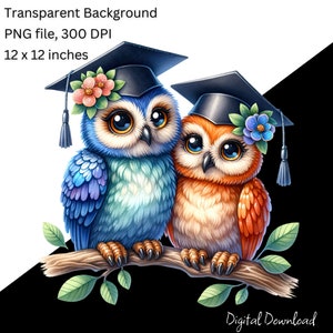 Adorable Graduation Clipart, Cute Owl With Floral Cap, Perfect ...