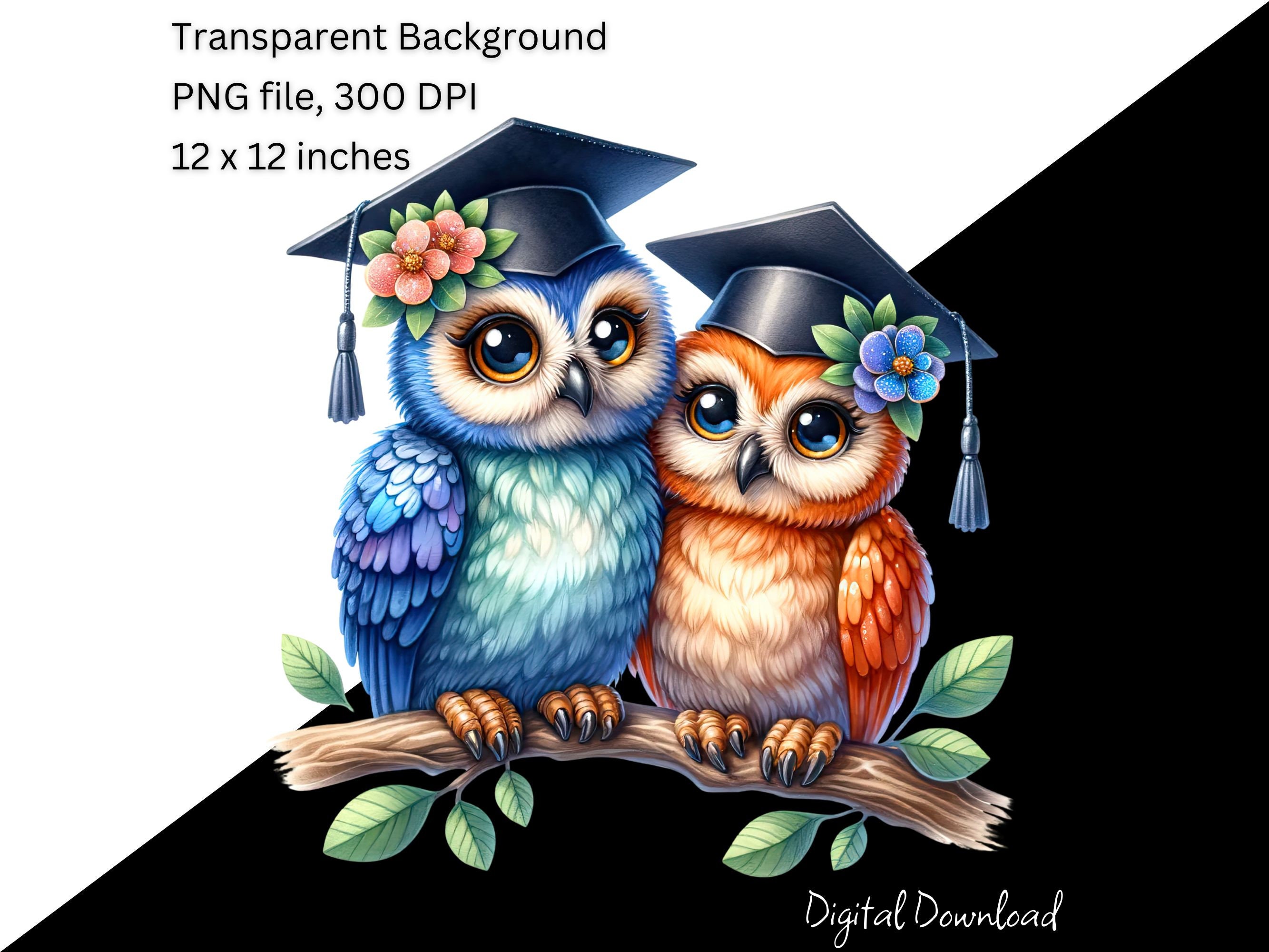 Adorable Graduation Clipart, Cute Owl With Floral Cap, Perfect ...