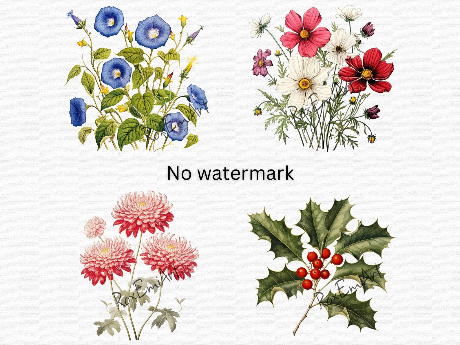 Birth Flower Clipart. Roses Clipart, Lily of the Valley, Water Lily ...