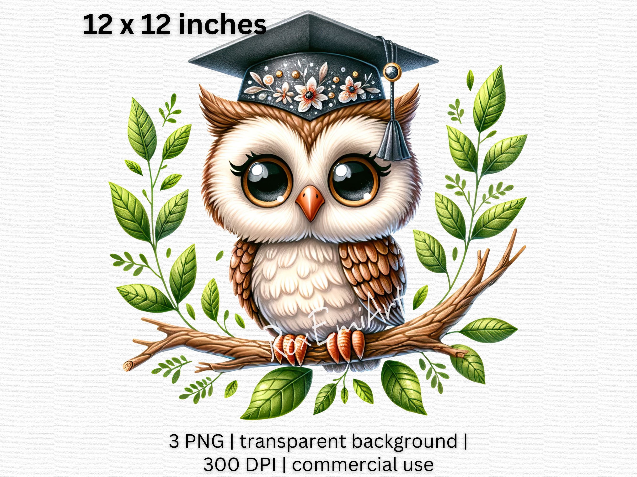 Adorable Graduation Clipart, Cute Owl With Floral Cap, Perfect ...