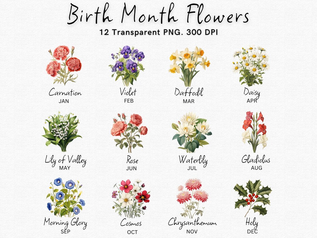 Birth Flower Clipart. Roses Clipart, Lily of the Valley, Water Lily ...