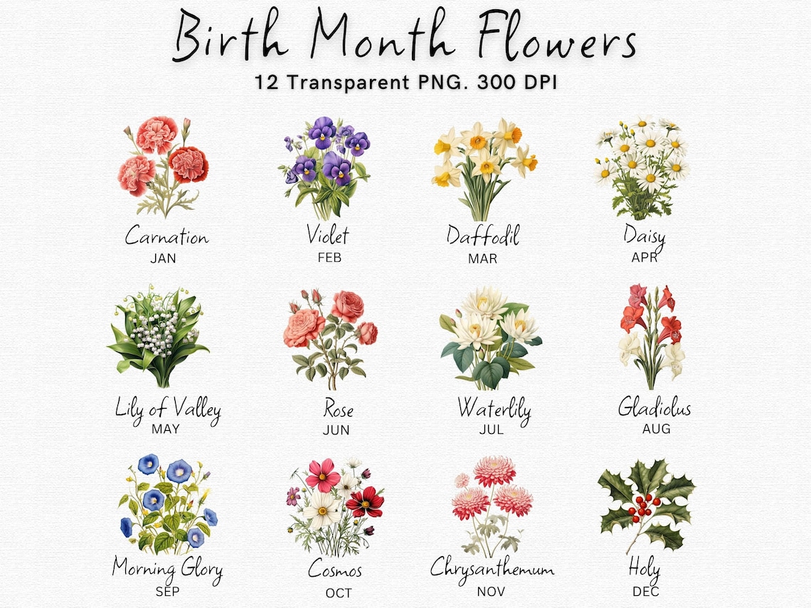 Birth Flower Clipart. Roses Clipart, Lily of the Valley, Water Lily ...