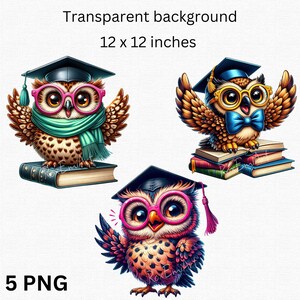 Adorable Academic Owl PNG, Cute Graduation Clipart, Scholar Owl Digital ...
