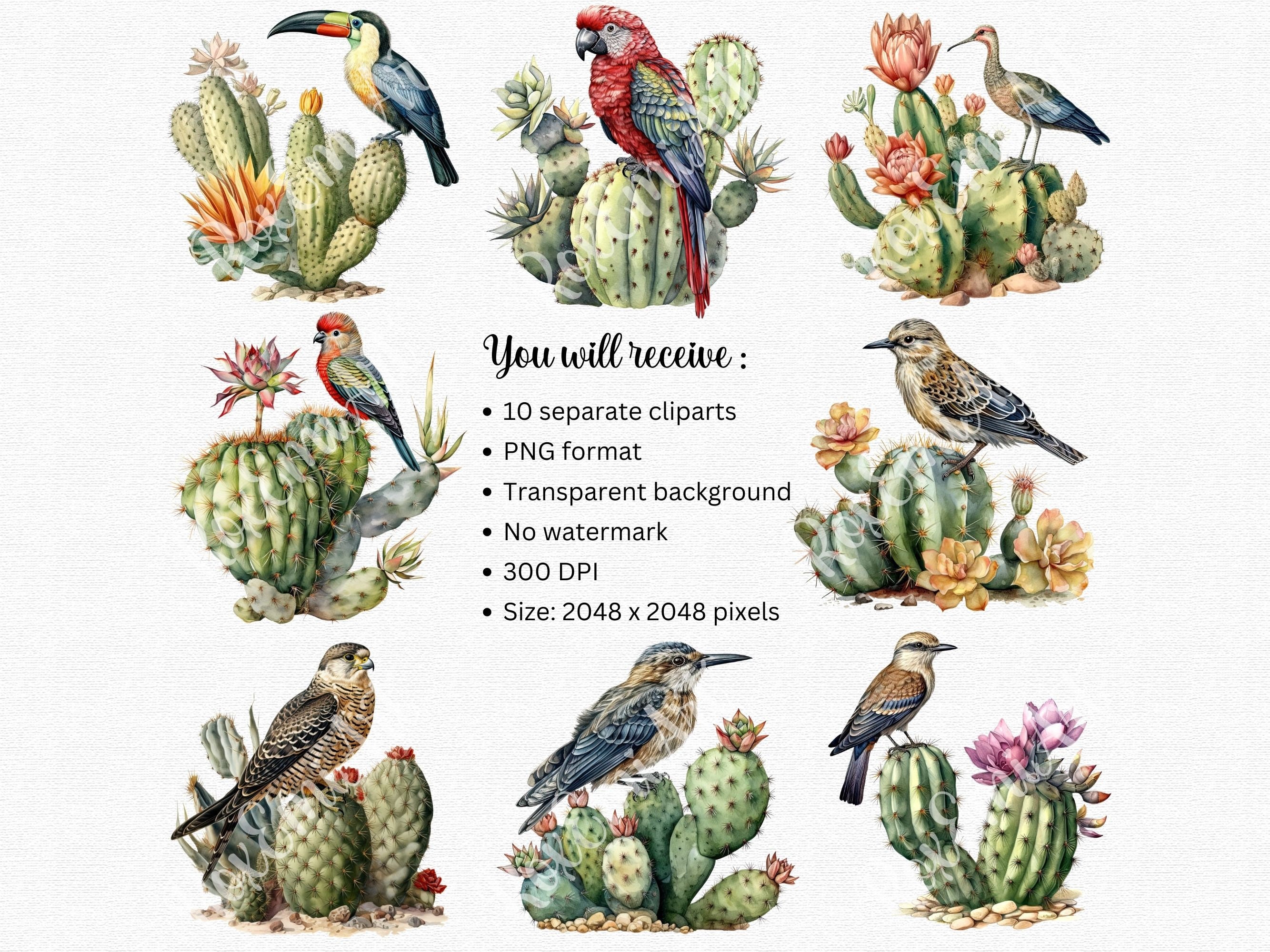 Watercolor Cute Cactus Clip Art - Cute Birds Clipart - Desert Cactus ...