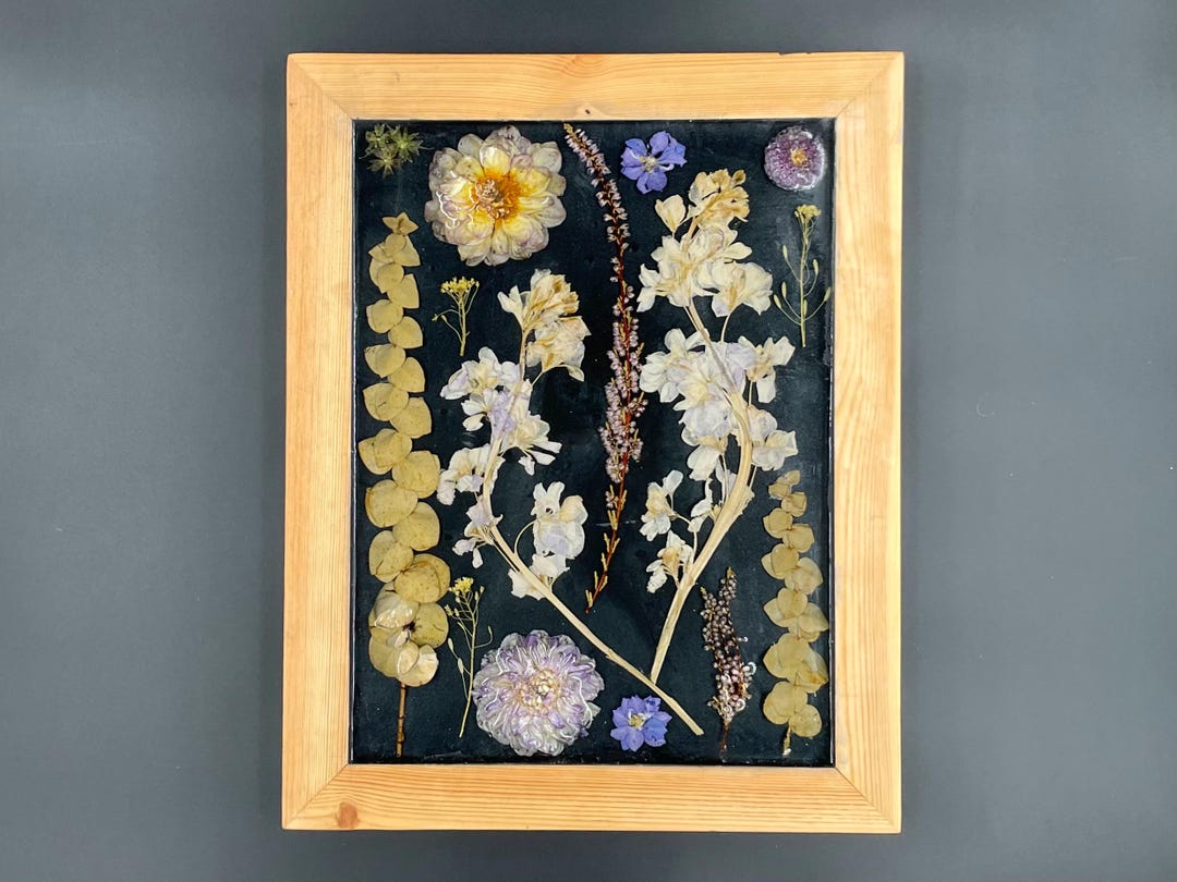 14x11 Preserved Real Dried Flower Resin Wall Art, Original Pressed Wall ...