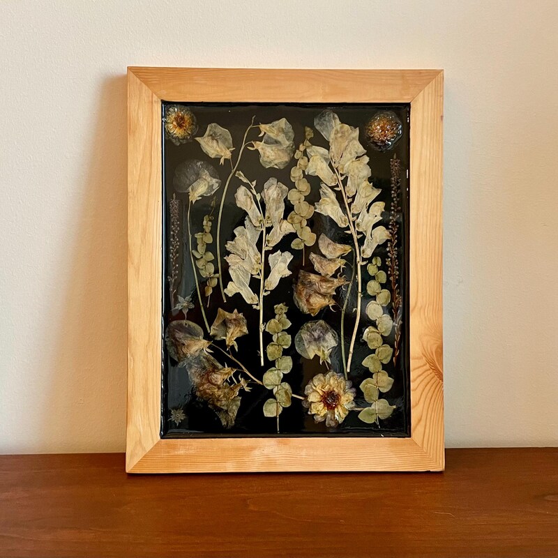 Framed Herbarium - Etsy