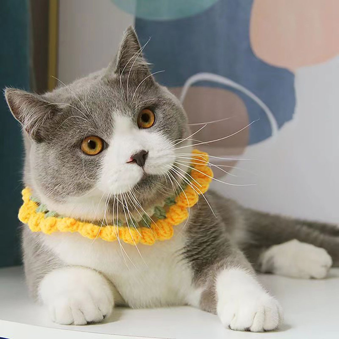 Crochet Pet Collars Crochet Cat Bibs Cat Accessory Dog - Etsy