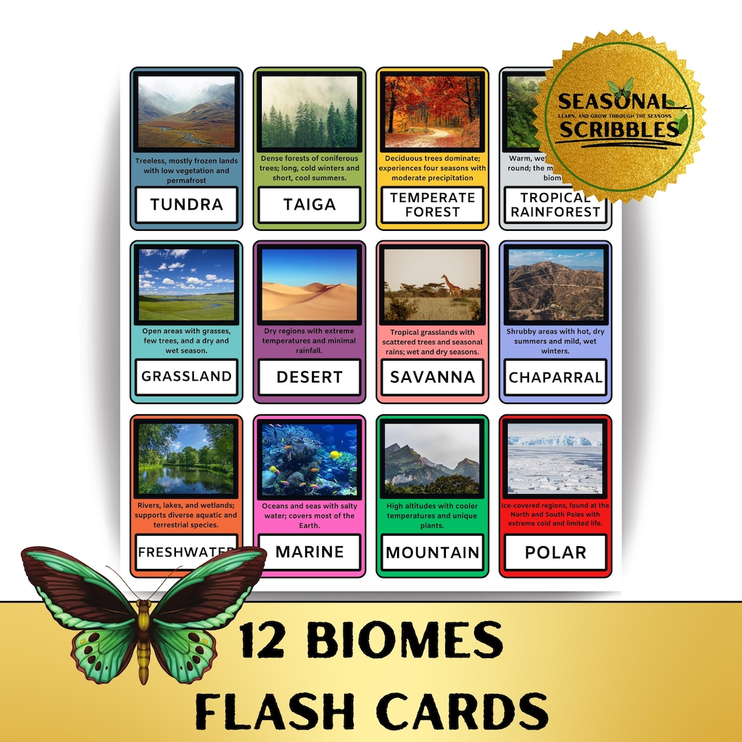 Biomes Flashcards| Printable Geography Science Learning Cards ...