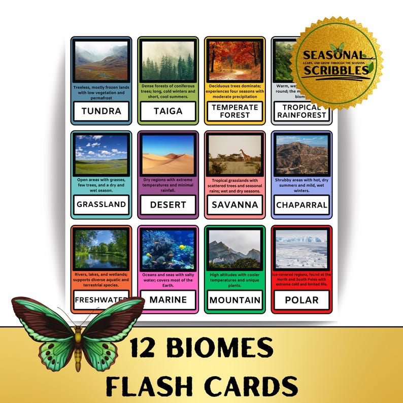 Biomes Flashcards | Geography & Nature Study, Classroom (digital ...