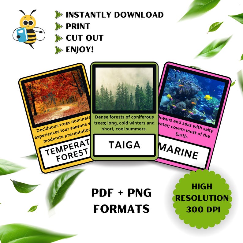 Biomes Flashcards| Printable Geography Science Learning Cards ...