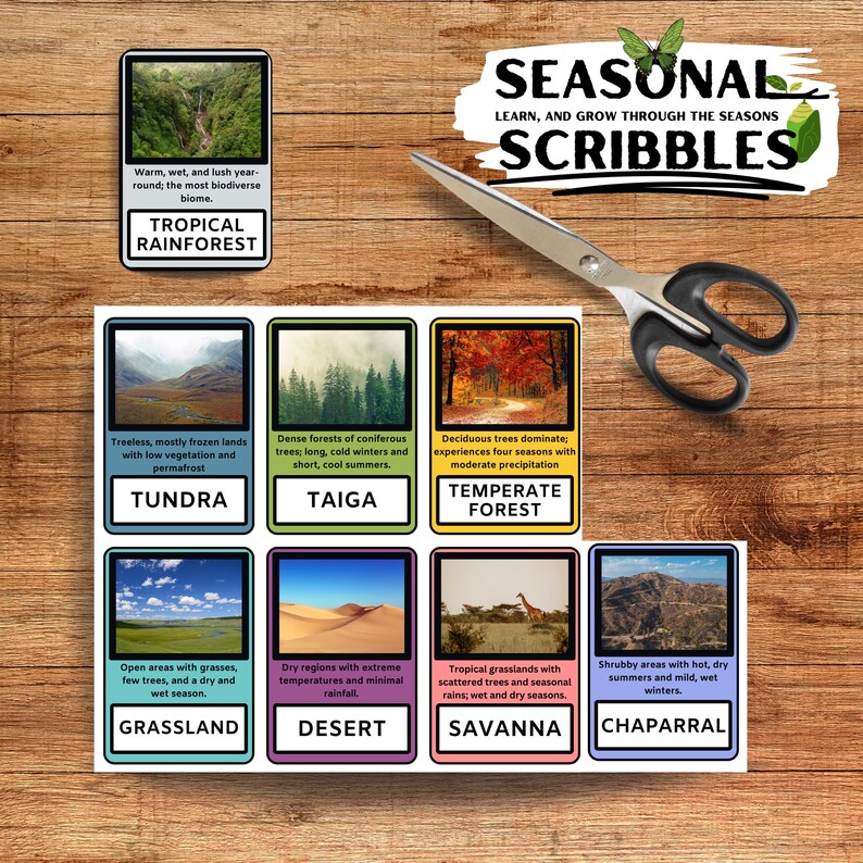 Biomes Flashcards| Printable Geography Science Learning Cards ...